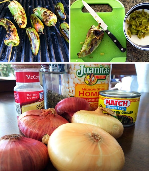 Roasted Chili Verde Antelope Stew | Wild Game Cuisine - NevadaFoodies