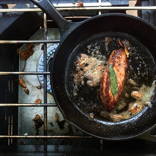 Pan Seared Antelope Tenderloin | Wild Game Recipes | Nevada Foodies